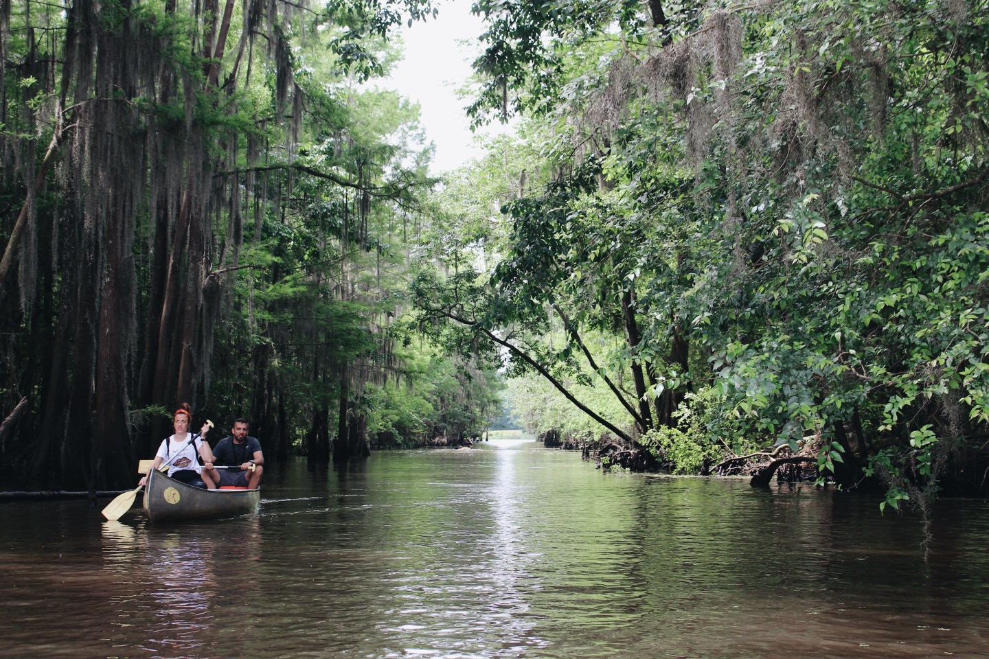 CADDO LAKE: UN LAGO DE CUENTO AL ESTE DE TEXAS – PLANETA WANDER